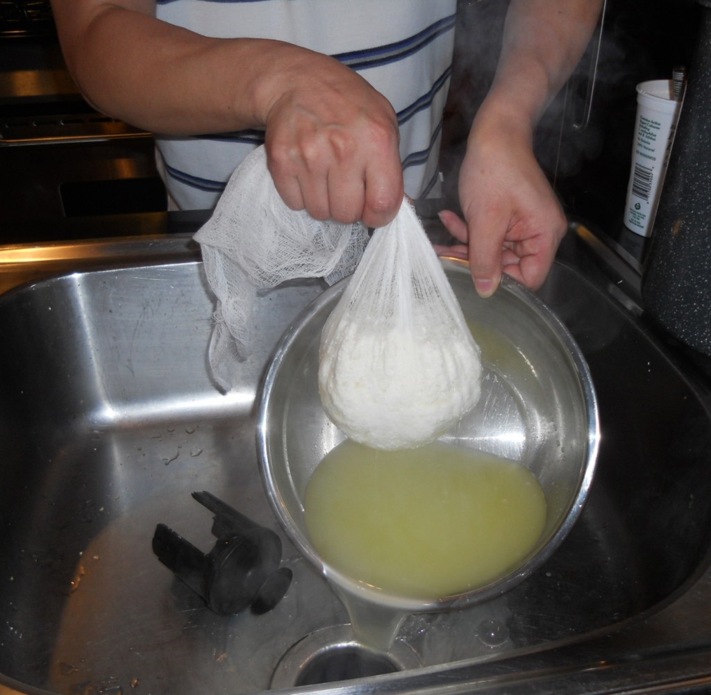 NYC Mongolian Food at Contorted Mongolia Fundraiser | United Nations of ...