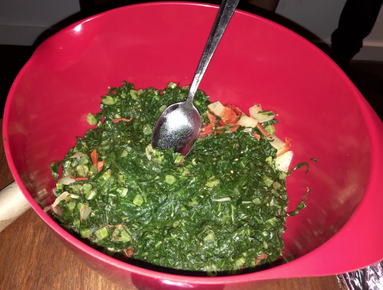 #149-150 Zambia & Zimbabwe: Southern African geniuses gone wild ...